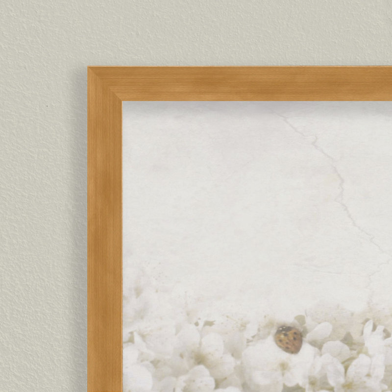 R2H Modern Summertime by Delphine Devos - 3 Piece Picture Frame Painting Set on Paper | Perigold